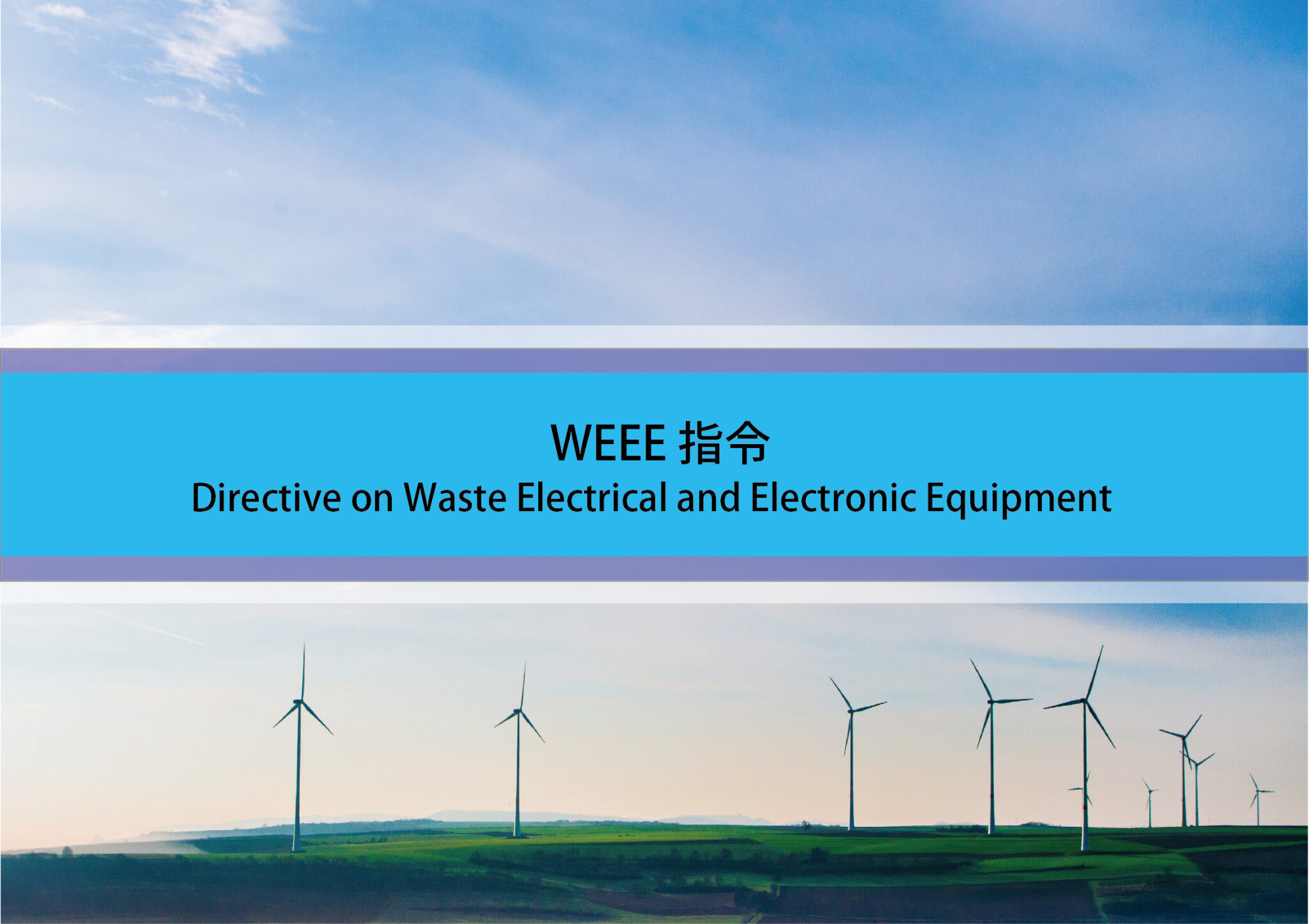 WEEE 指令 (Directive on Waste Electrical and Electronic Equipment)｜EU及びその ...
