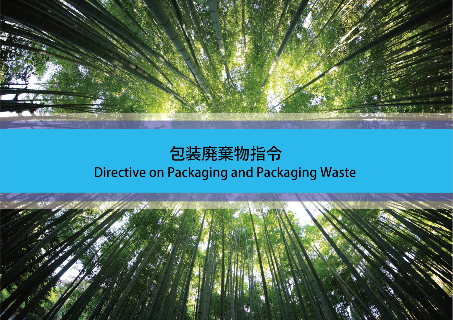 包装廃棄物指令 (Directive on Packaging and Packaging Waste)｜EU及びその他の環境規制｜大幸コラム ...